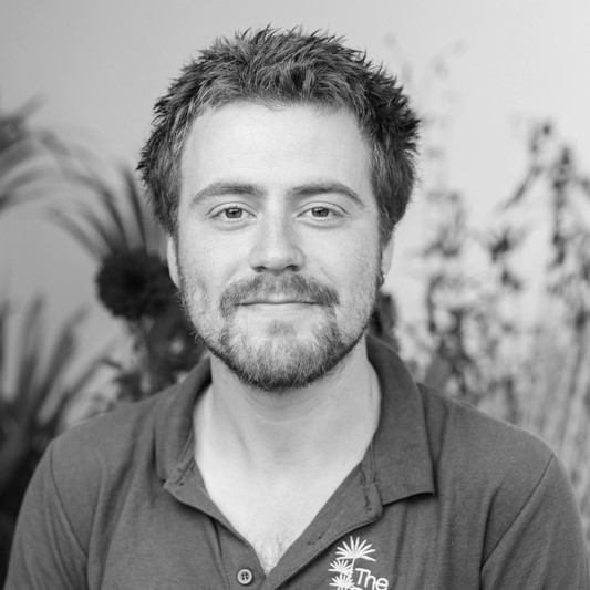 Jacob Holt 1 800px-5edit - The Botanical Gardener | The Botanical Gardener